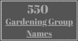550 Best Gardening Group Names & Generator – Pick the Perfect One