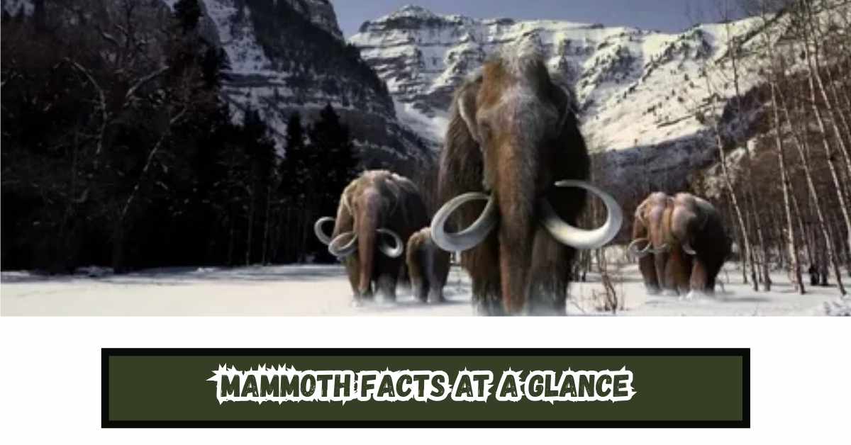 500+ Powerful and Iconic Mammoth Names & Generator [Meaningful Ideas]