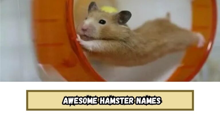 300+ Cute and Funniest Hamster Names & Generator [Best Ideas]