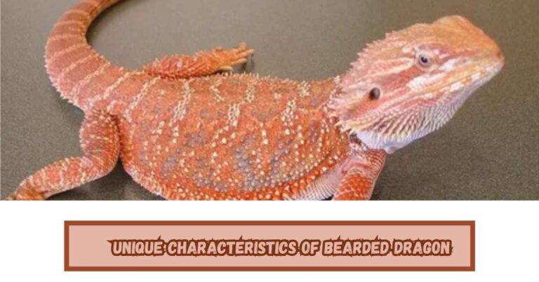 400+ Best and Popular Bearded Dragon Names & Generator