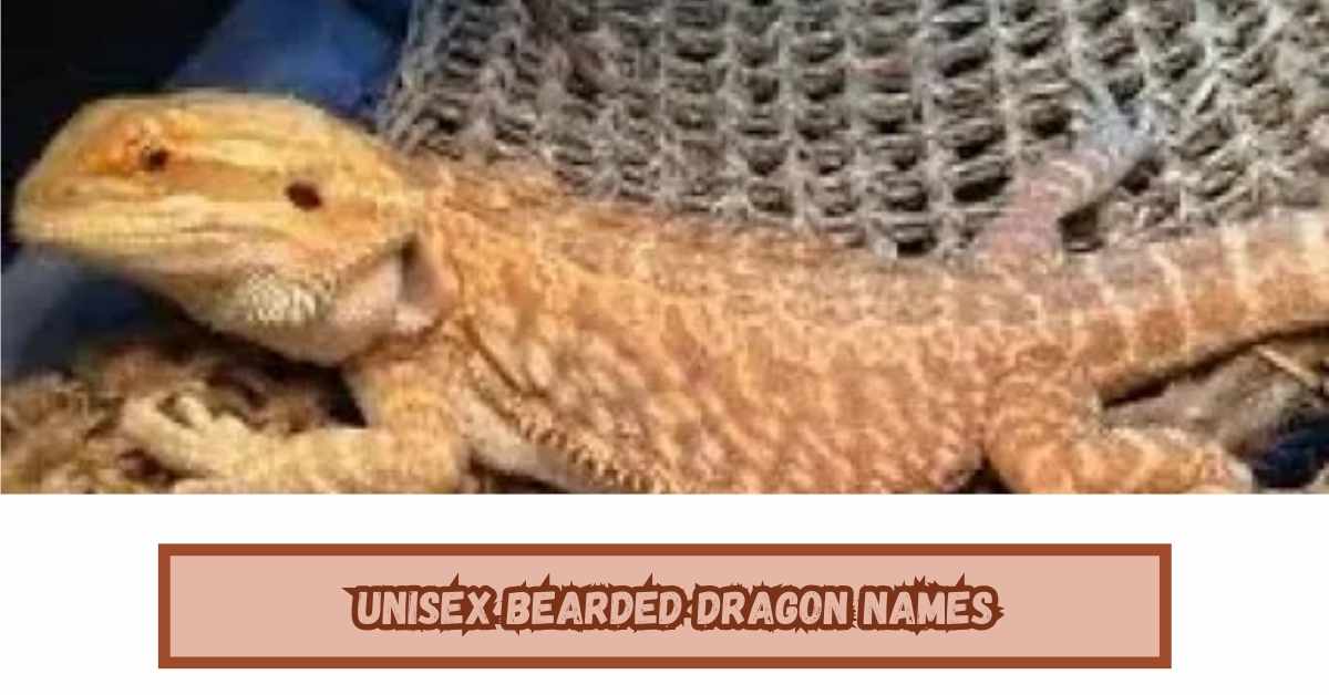 400+ Best and Popular Bearded Dragon Names & Generator