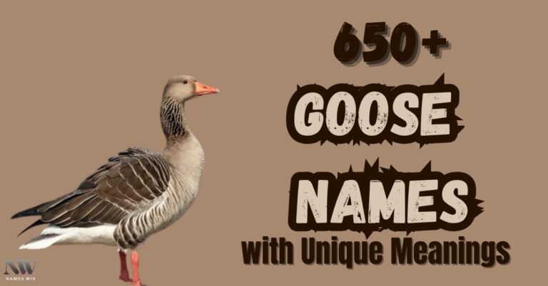 650+ Catchy and Best Goose Names & Generator with Unique Meanings