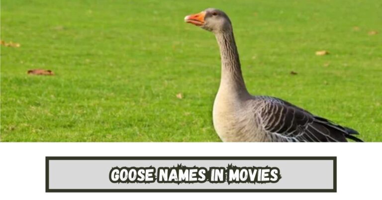 650+ Catchy and Best Goose Names & Generator with Unique Meanings