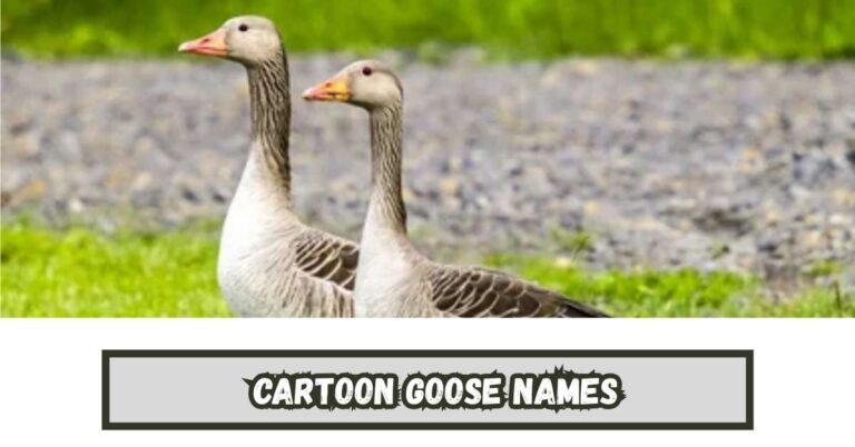 650+ Catchy and Best Goose Names & Generator with Unique Meanings