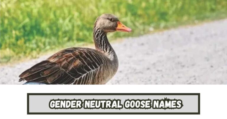 650+ Catchy and Best Goose Names & Generator with Unique Meanings