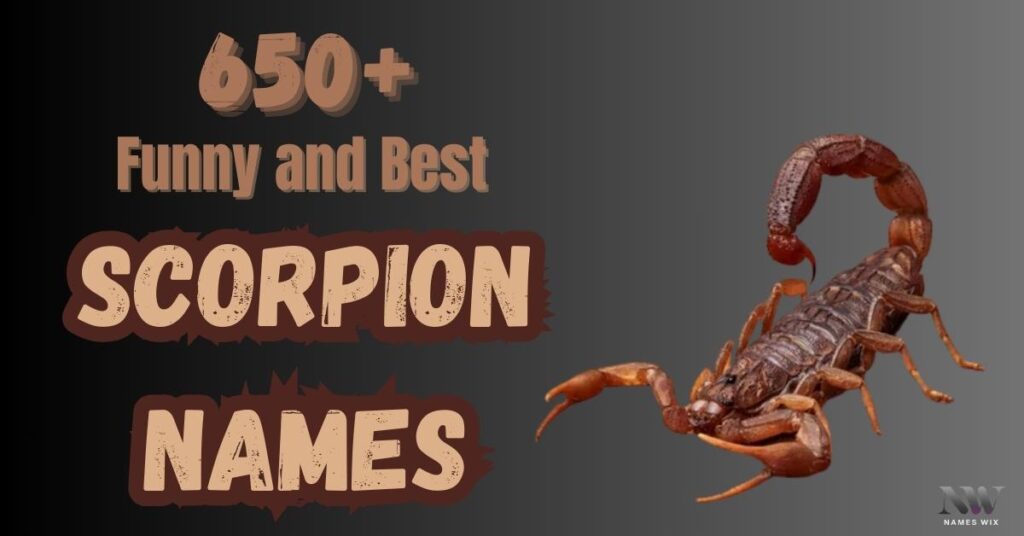 650+ Funny and Best Scorpion Names & Generator