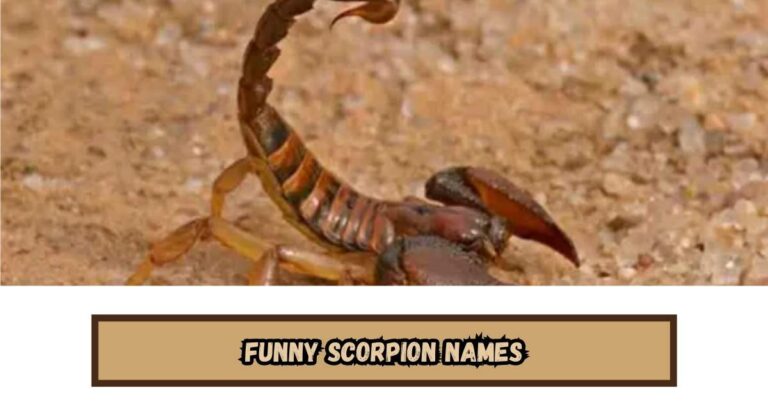 650+ Funny and Best Scorpion Names & Generator