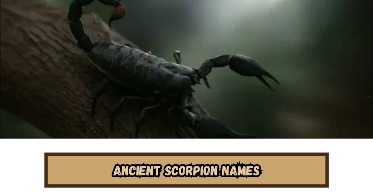 650+ Funny and Best Scorpion Names & Generator