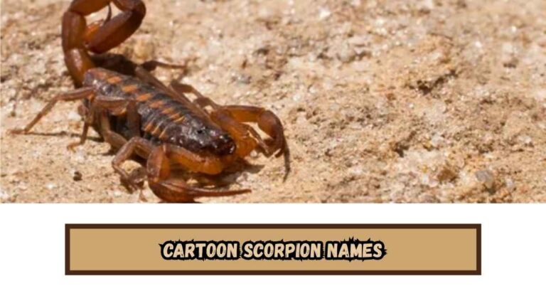 650+ Funny and Best Scorpion Names & Generator