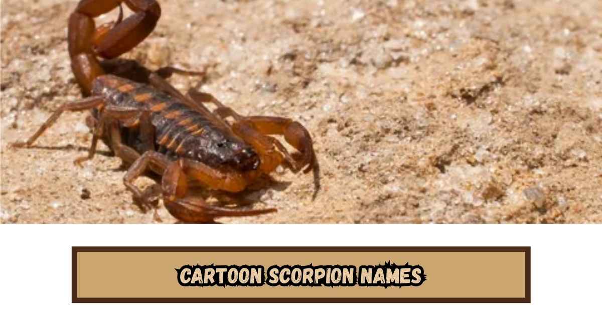 650+ Funny and Best Scorpion Names & Generator