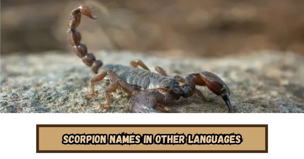 650+ Funny and Best Scorpion Names & Generator