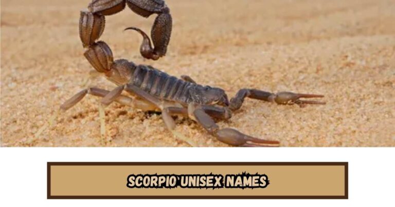 650+ Funny and Best Scorpion Names & Generator