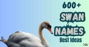 600+ Unique and Cool Swan Names & Generator [Best Ideas]