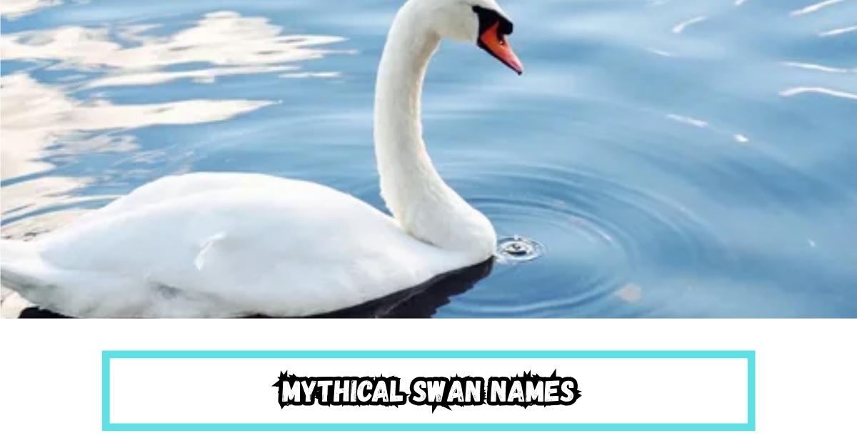 600+ Unique and Cool Swan Names & Generator [Best Ideas]