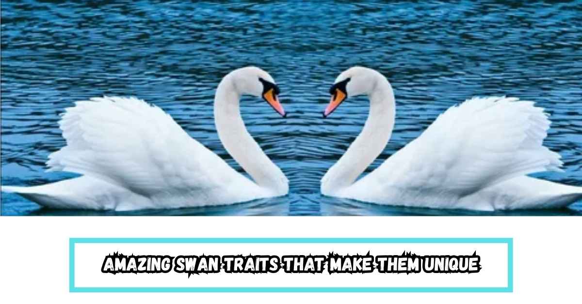 600+ Unique and Cool Swan Names & Generator [Best Ideas]