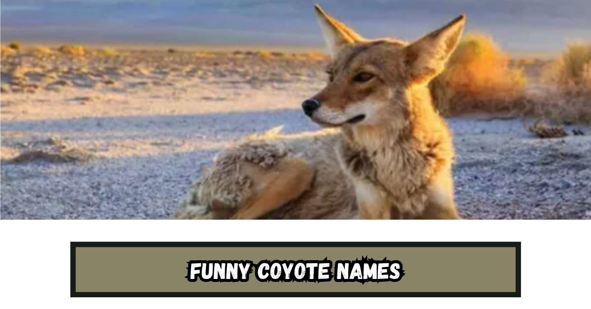 400+ Catchy and Famous Coyote Names & Generator Ideas