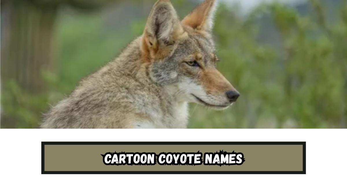 400+ Catchy and Famous Coyote Names & Generator Ideas