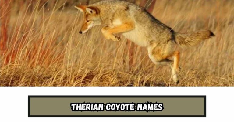 400+ Catchy and Famous Coyote Names & Generator Ideas