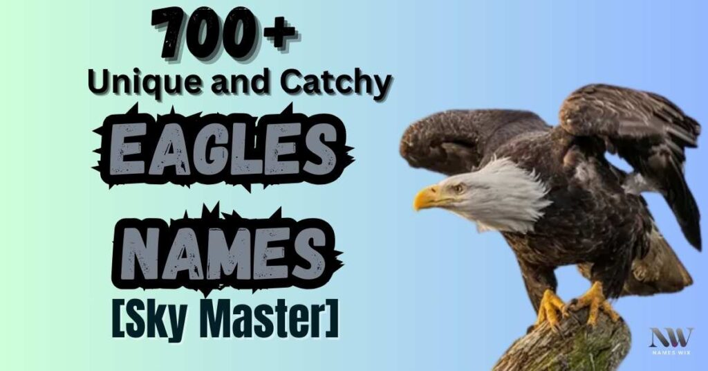 700+ Unique and Catchy Eagles Names & Generator [Sky Master]