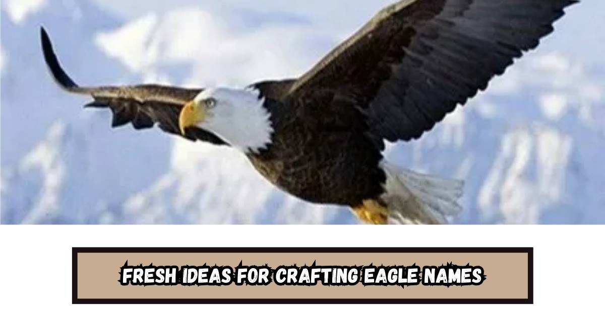 700+ Unique and Catchy Eagles Names & Generator [Sky Master]