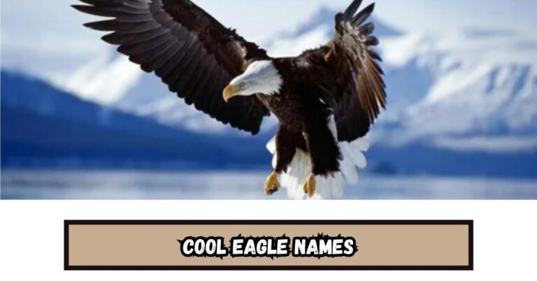 700+ Unique and Catchy Eagles Names & Generator [Sky Master]