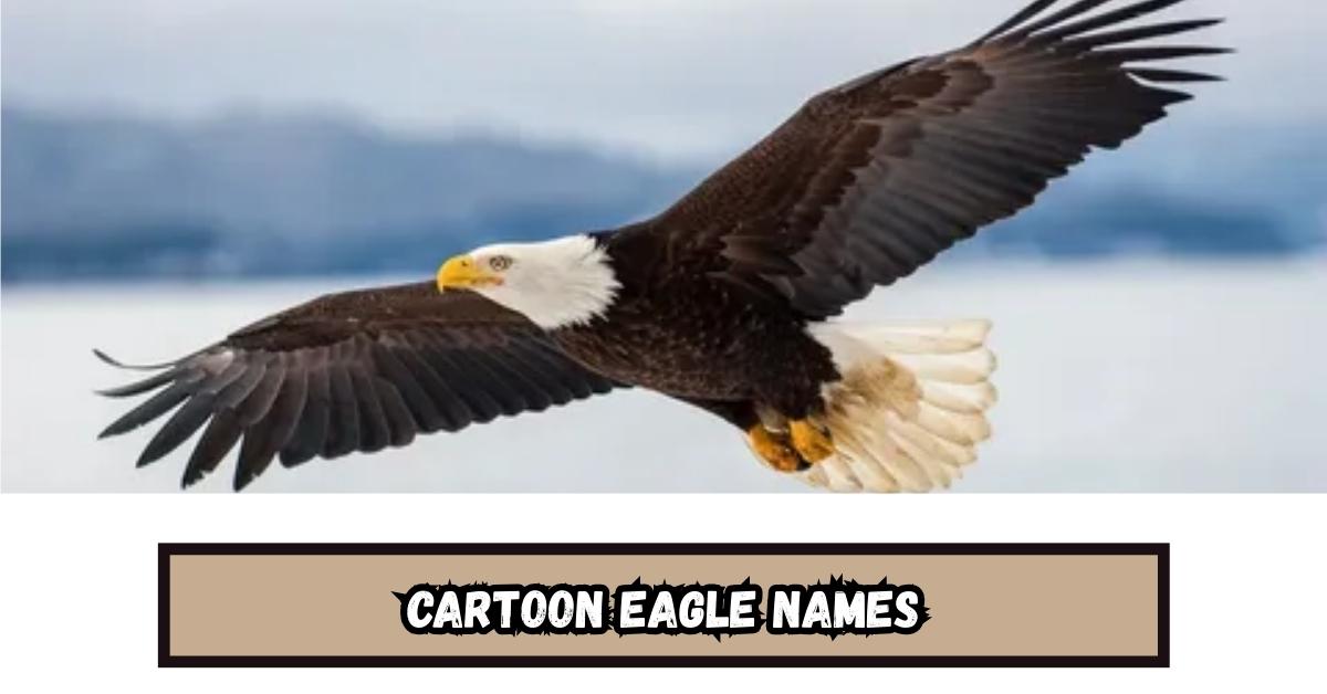 700+ Unique and Catchy Eagles Names & Generator [Sky Master]