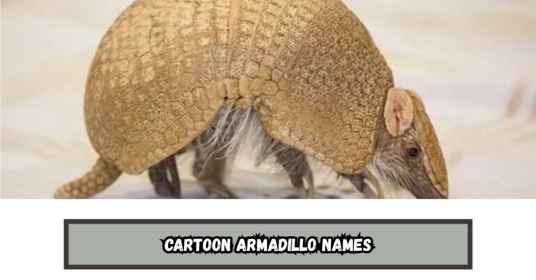 300+ Cute and Best Armadillo Names & Generator [Evergreen Ideas]