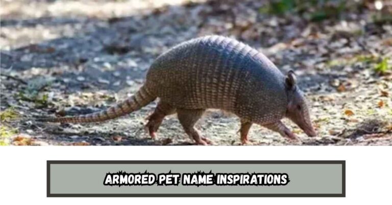 300+ Cute and Best Armadillo Names & Generator [Evergreen Ideas]