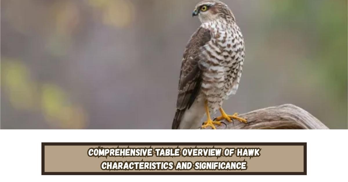 350+ List of Catchy & Fearless Hawk Names with Meanings+Poll
