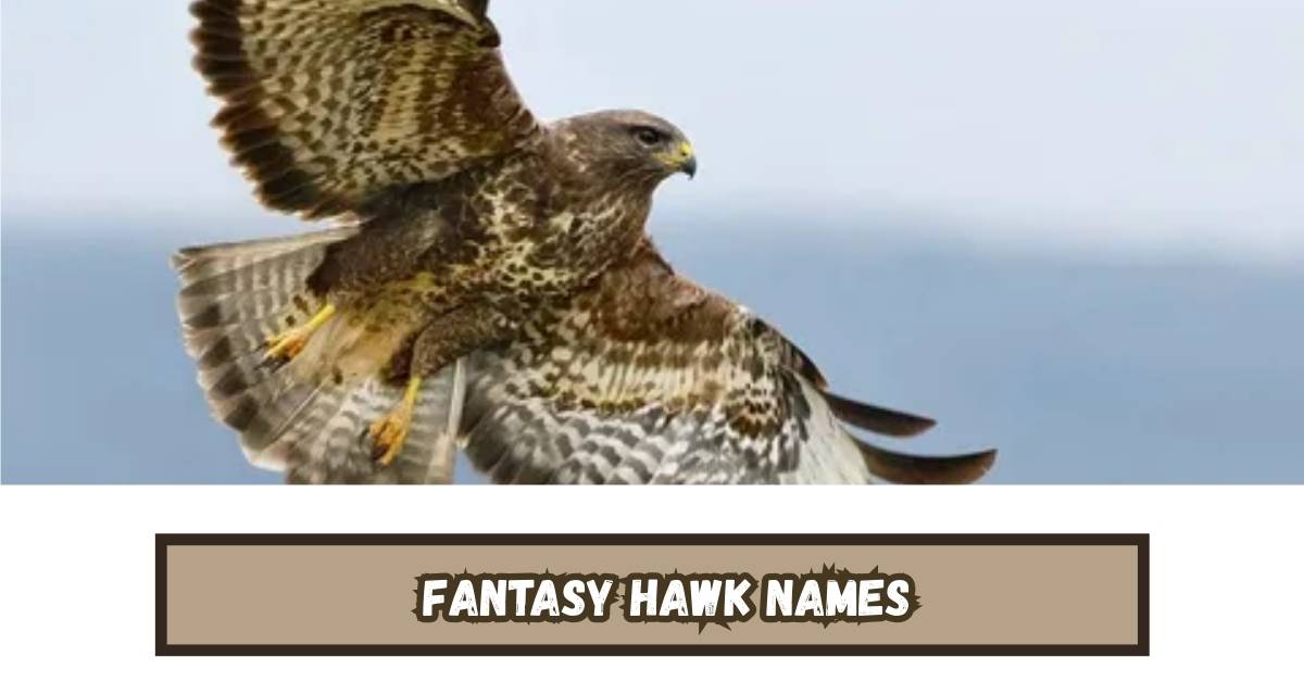 350+ List of Catchy & Fearless Hawk Names with Meanings+Poll
