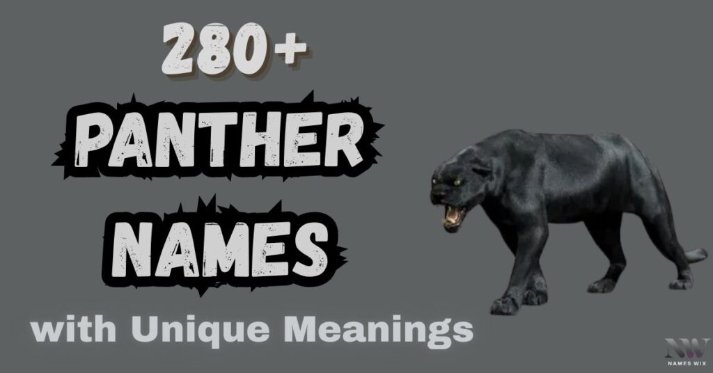 280+ Top Panther Names & Generator with Unique Meanings