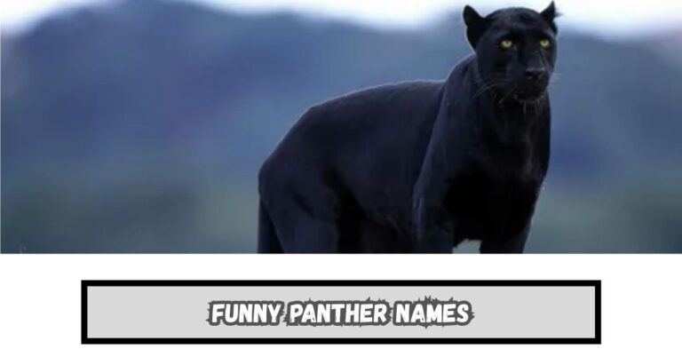 280+ Top Panther Names & Generator with Unique Meanings