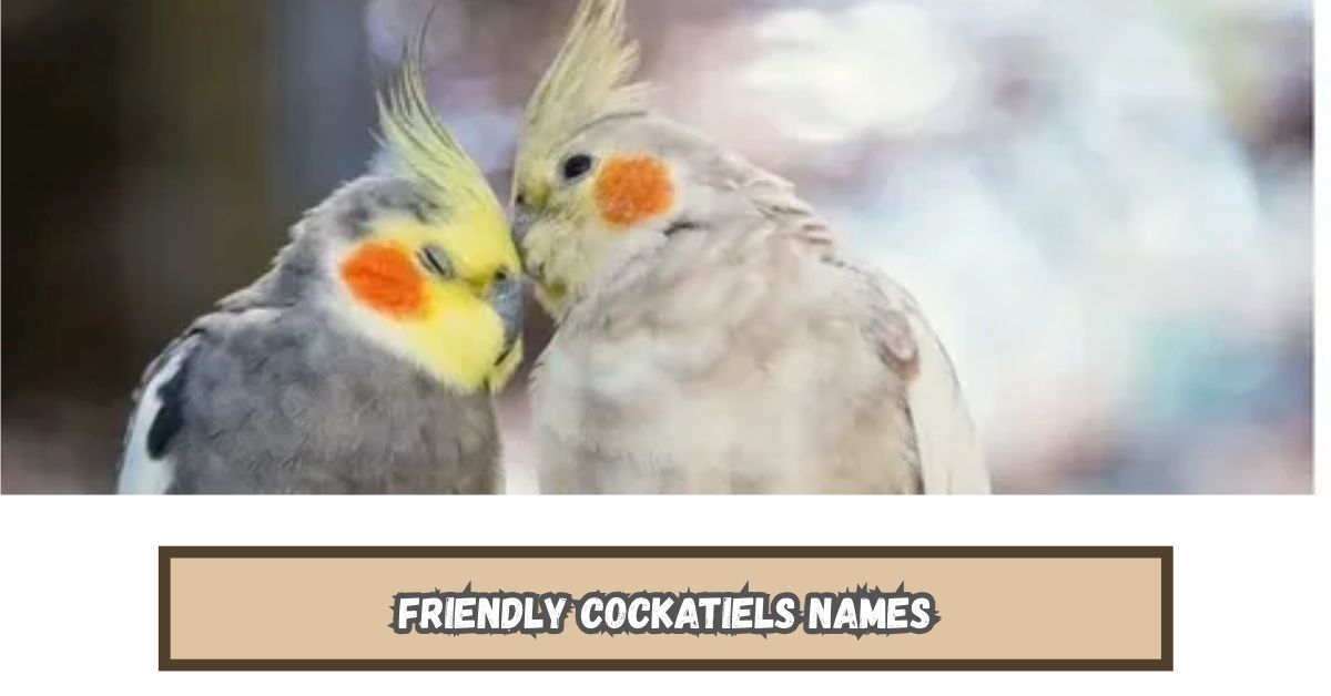 350+ Cute and Friendly Cockatiel Names & Generator Ideas