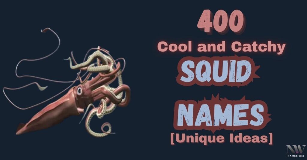400 Cool and Catchy Squid Names & Generator [Unique Ideas]
