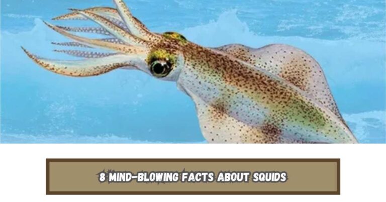 400 Cool and Catchy Squid Names & Generator [Unique Ideas]