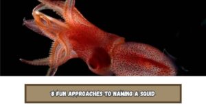 400 Cool and Catchy Squid Names & Generator [Unique Ideas]