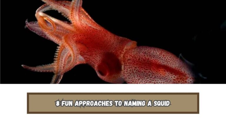 400 Cool and Catchy Squid Names & Generator [Unique Ideas]