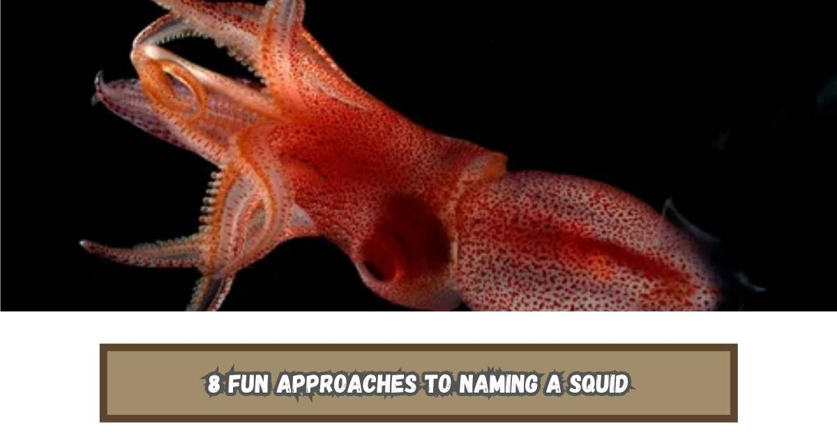 400 Cool and Catchy Squid Names & Generator [Unique Ideas]