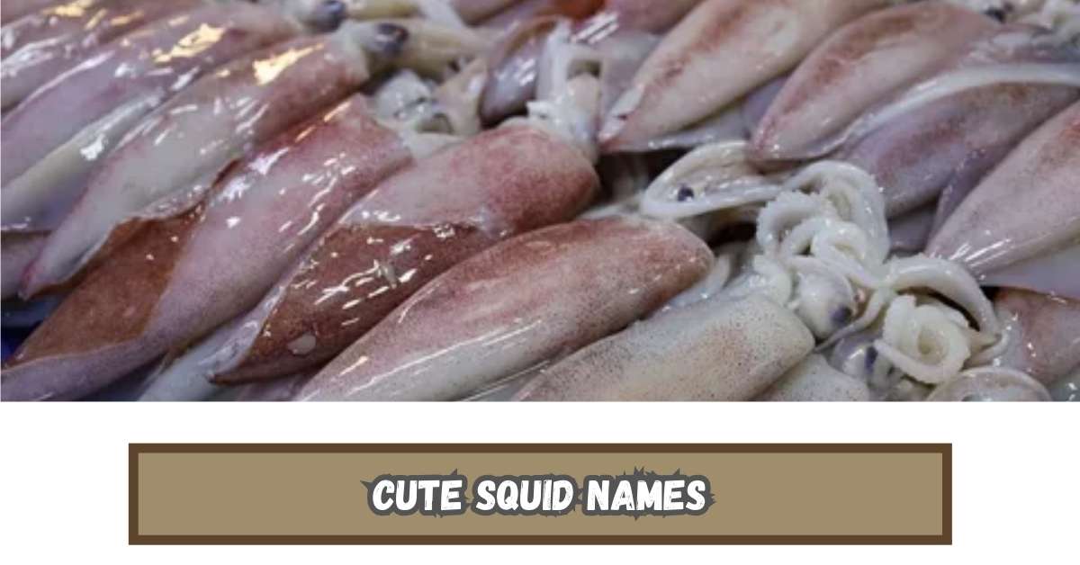400 Cool and Catchy Squid Names & Generator [Unique Ideas]