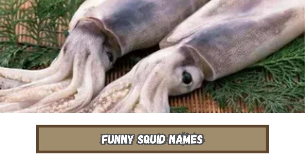 400 Cool and Catchy Squid Names & Generator [Unique Ideas]