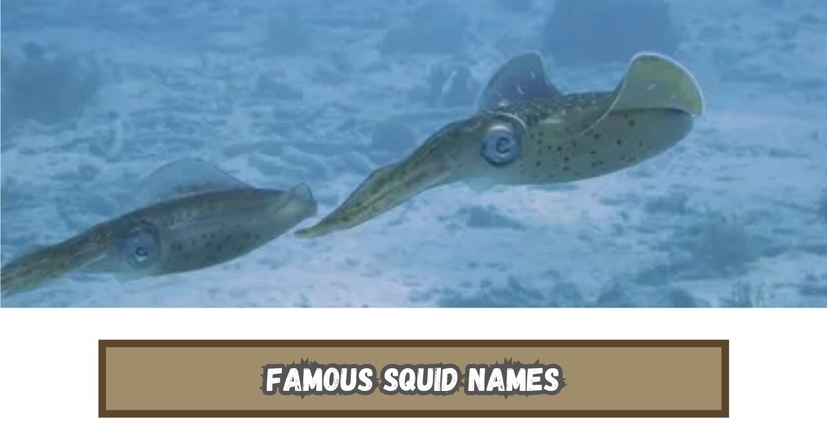 400 Cool and Catchy Squid Names & Generator [Unique Ideas]