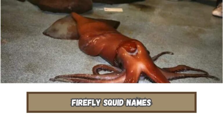 400 Cool and Catchy Squid Names & Generator [Unique Ideas]