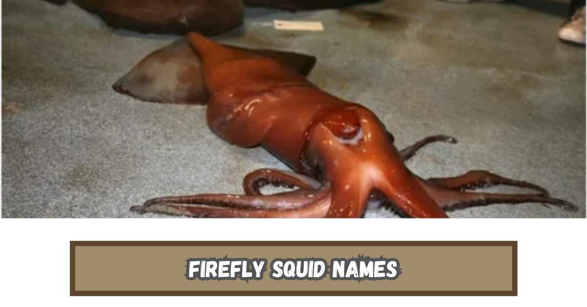 400 Cool and Catchy Squid Names & Generator [Unique Ideas]