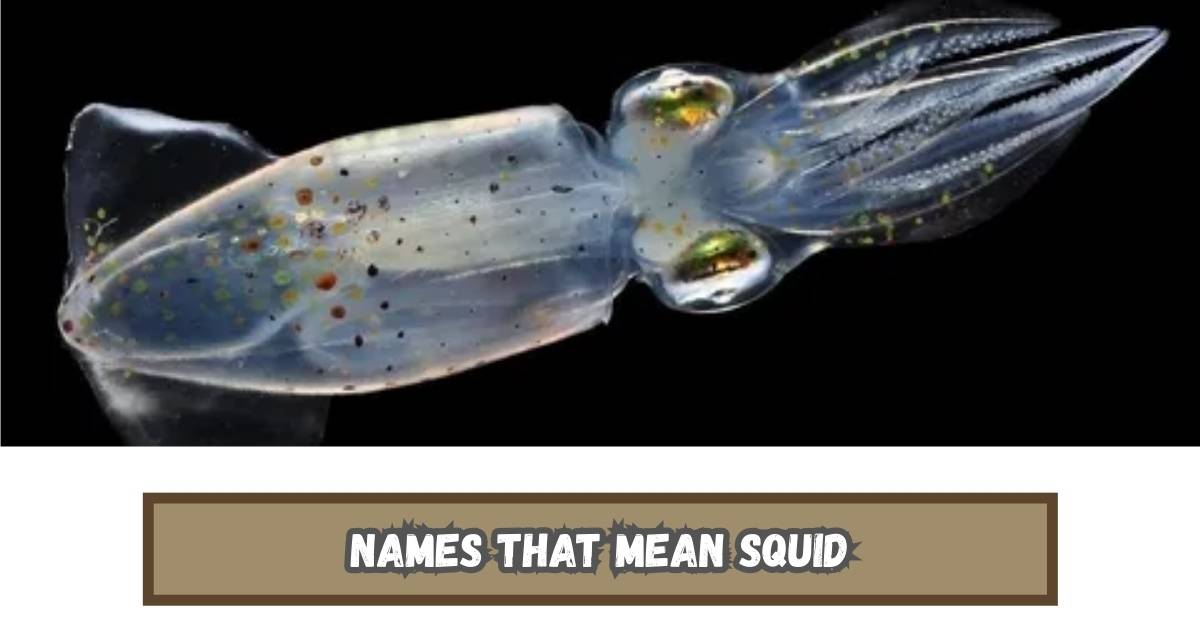 400 Cool and Catchy Squid Names & Generator [Unique Ideas]