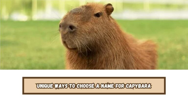 400 Famous and Cute Capybara Names & Generator [Best Ideas]