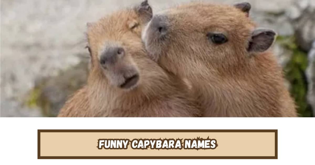 400 Famous and Cute Capybara Names & Generator [Best Ideas]