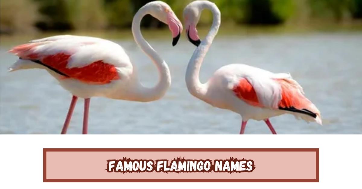 450 Cute and Cool Flamingo Names & Generator [Fresh Ideas]