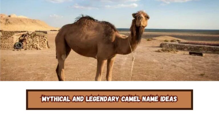 350+ Cool and Famous Camel Names & Generator [Top Ideas]