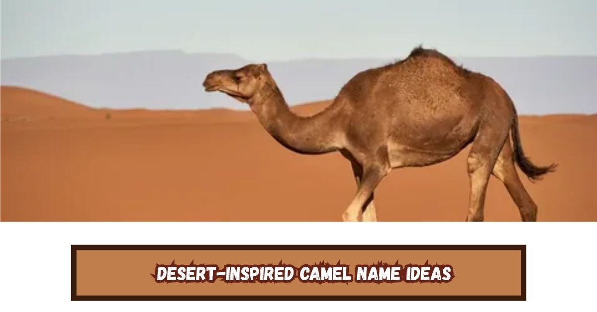350+ Cool and Famous Camel Names & Generator [Top Ideas]