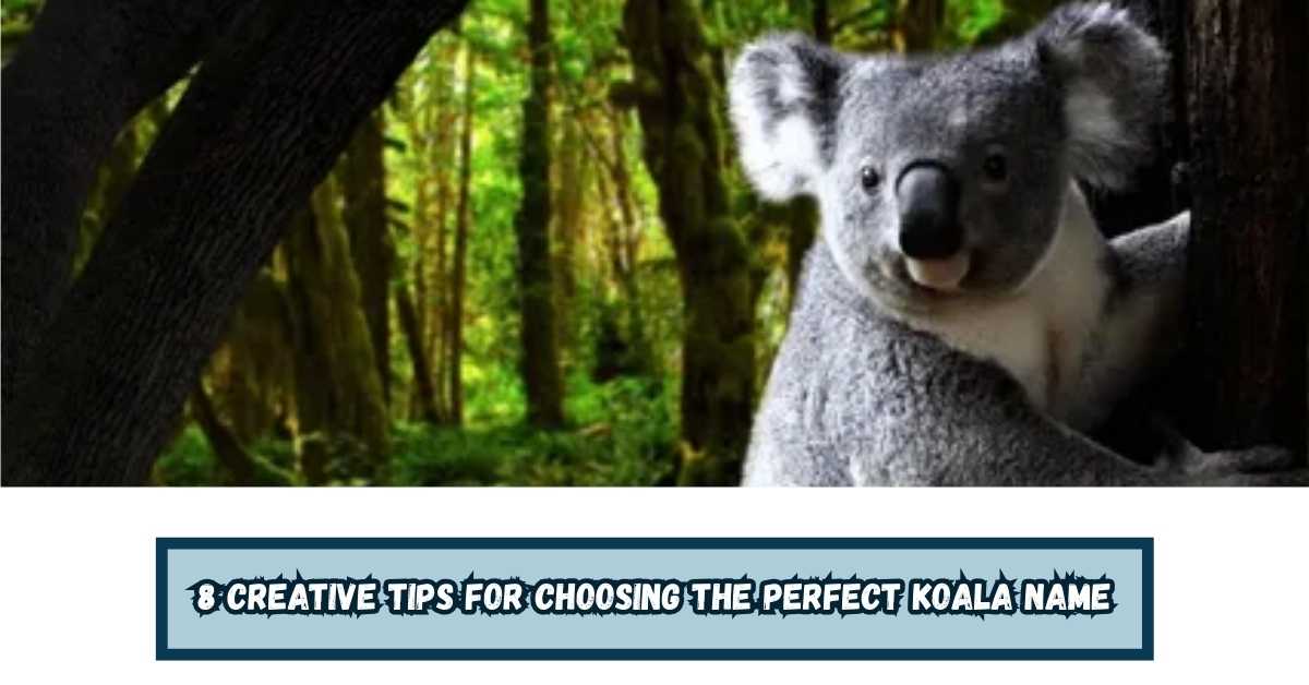 250+ Cute Koala Names & Generator with Meanings [Unique Ideas]